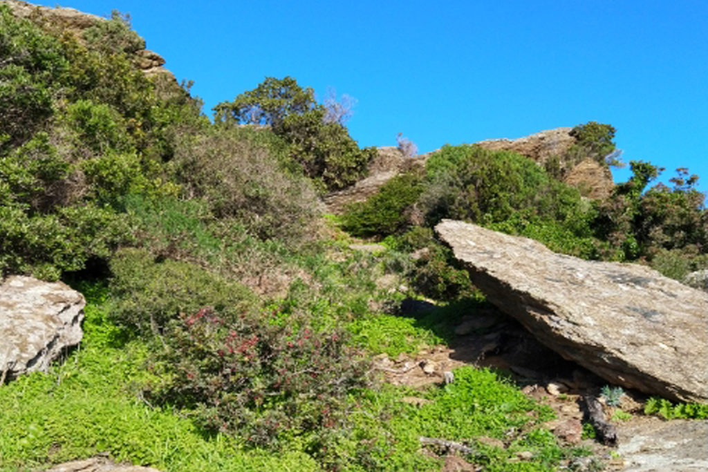 Mouvements & Paysages - Génie écologique - Paroi Rocheuse